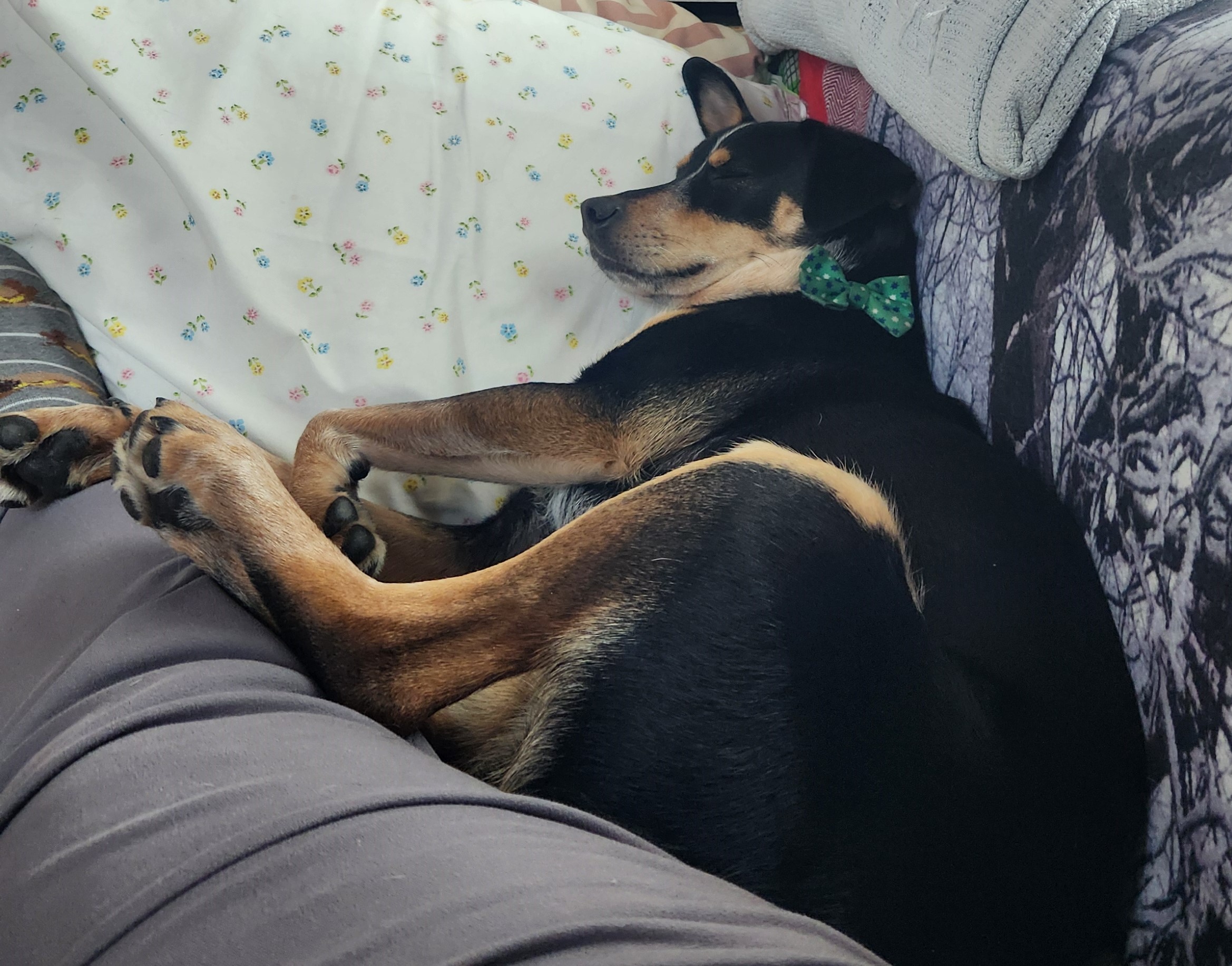 Updates – Snug Slug Activities